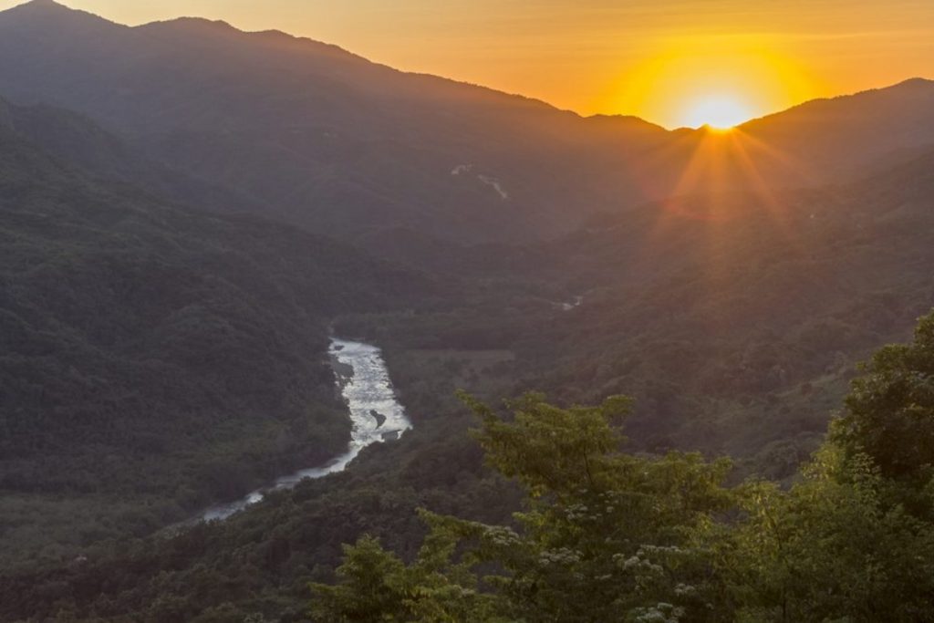 Conoce el trabajo de la Alianza WWF-Fundación Carlos Slim en Selva ...