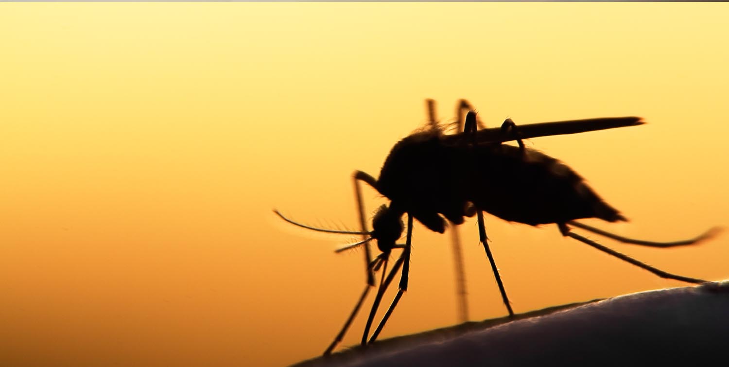 Colombia busca erradicar la malaria con ayuda de la Iniciativa Regional ...