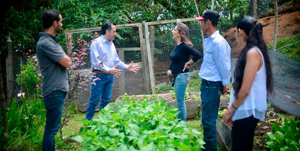 proyectos-productivos-curso-1 - Fundación Carlos Slim