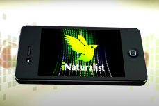 Conoce Naturalista, plataforma enfocada en la observación y ...