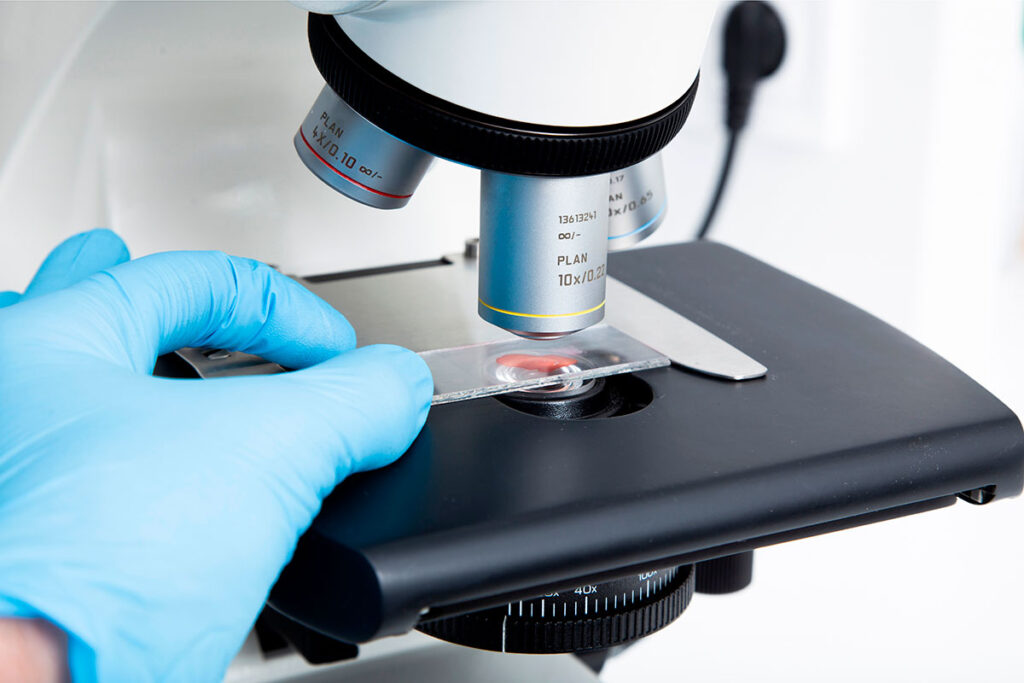 Pabellón Nacional de la Biodiversidad imparte el curso El mundo ...