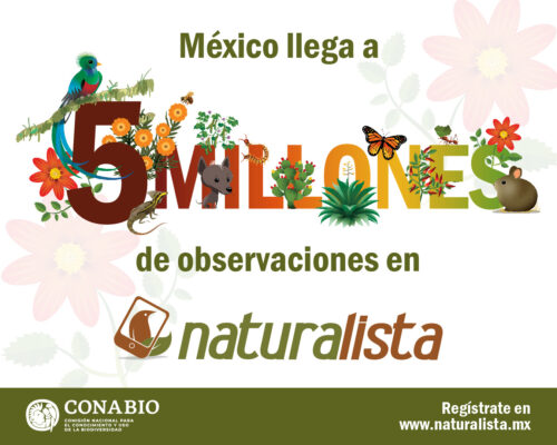 Naturalista - Fundación Carlos Slim