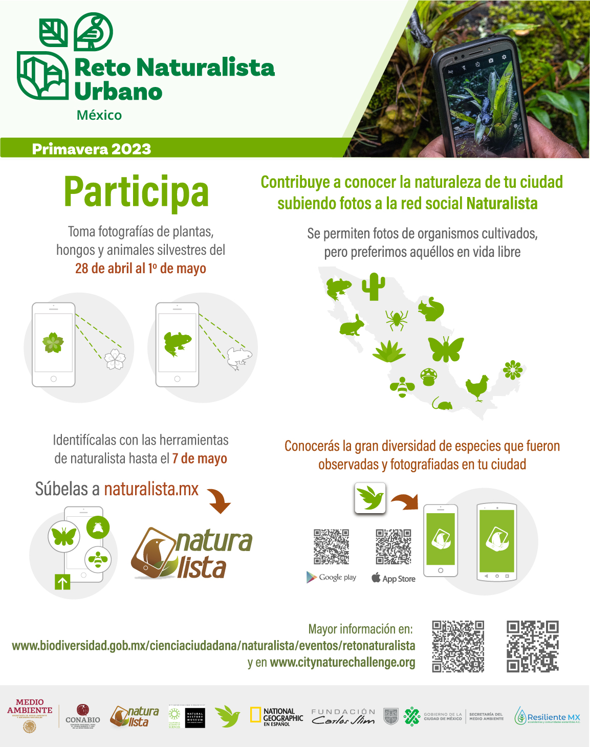 Reto Naturalista Urbano Primavera 2023 - Fundación Carlos Slim