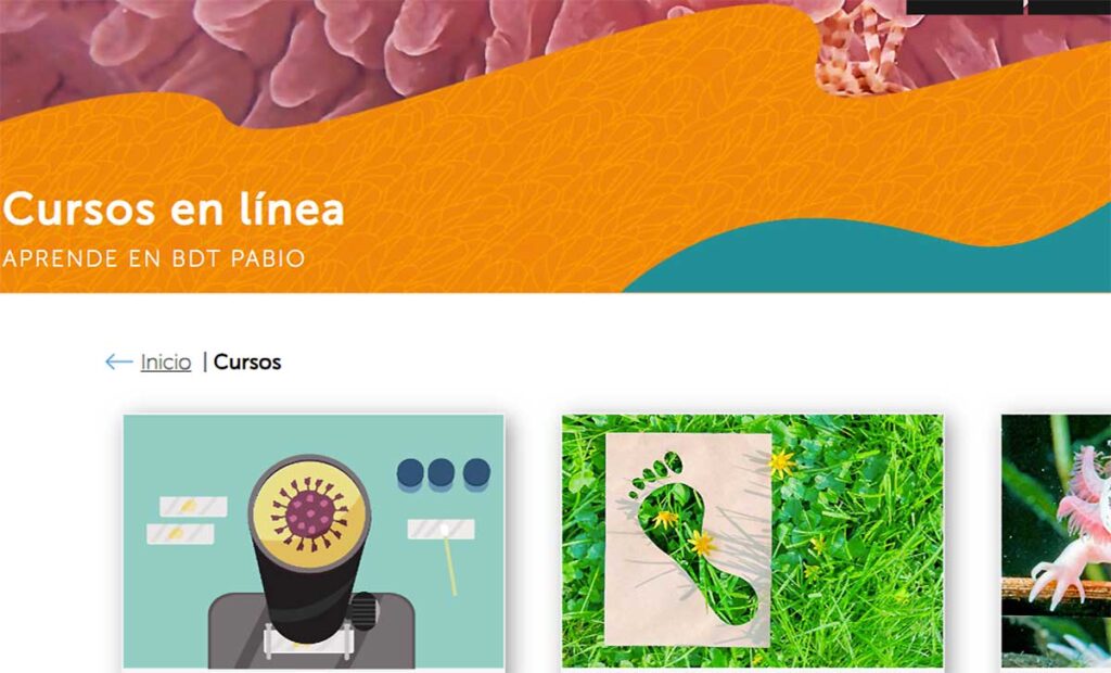 secc-cursos-pabio-2 - Fundación Carlos Slim